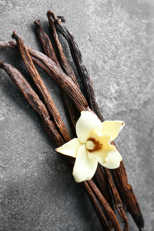 Pure Delicious Perfume | REBL Scents